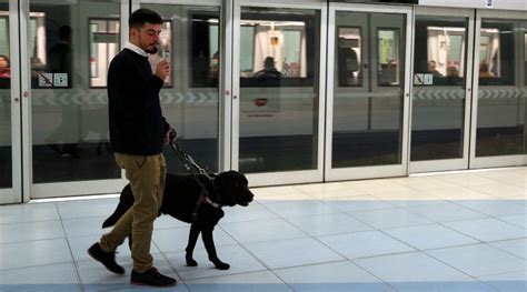 Tmb Prova Una Aplicaci Per Facilitar L Orientaci De Les Persones Cegues Al Transport P Blic