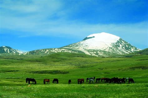 Улсынхаа хөгжих боломжийг хулгайчуудад дээрэмдүүлчхээд Улных гэж тэдэнд дуудуулаад амьдрах юм уу