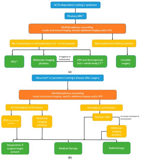 Cushing Syndrome Pathophysiology