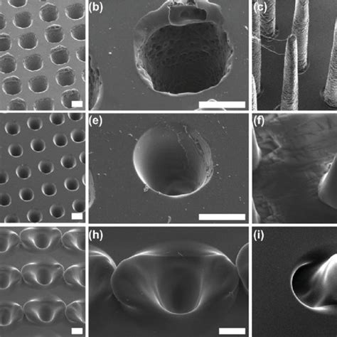 Schematic Diagram And Cell Migration Path Over 24 H In 2d And 3d Download Scientific Diagram