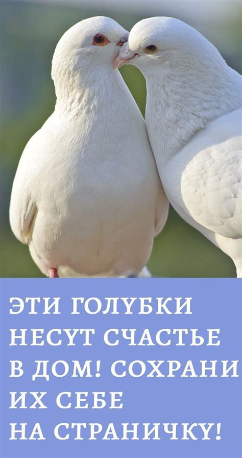 Как правильно складывать вещи в шкафу для идеального порядка