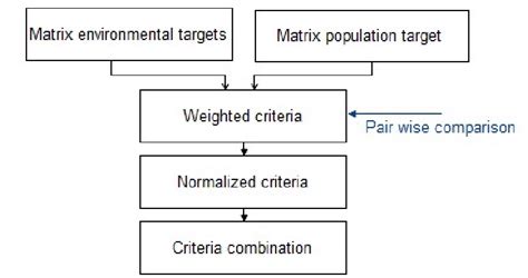 Structure To Perform Multi Criteriaanalysis Download Scientific Diagram