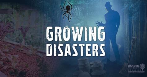 How To Avoid Rookie Mistakes In The Grow Room Natures Gateway