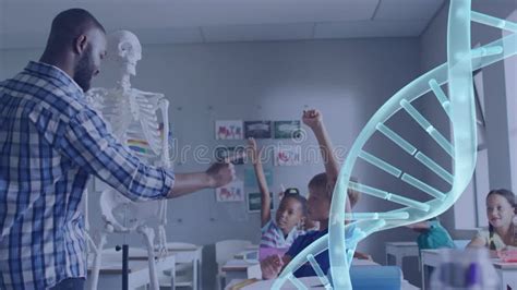 Animation Of Dna Strand Over Smiling African American Male Teacher