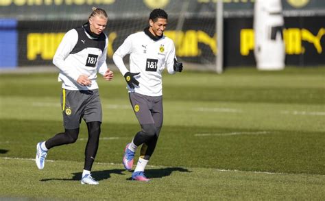 Erling Haaland Novo Embaixador Da Adidas No Futebol Mkt Esportivo