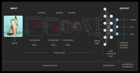 Neural Network Architectures: Top 2025 Frameworks Explained | Label Your Data