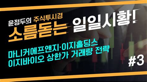 마니커에프앤지 And 이지홀딩스 And 이지바이오 상한가 거래량 전략 Youtube