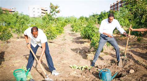 የኢንዱስትሪ ፓርኮች ልማት ኮርፖሬሽን የአረንጓዴ አሻራ መርሀ ግብር በድሬዳዋ የነፃ ንግድ ቀጣና በይፋ ተጀመረ