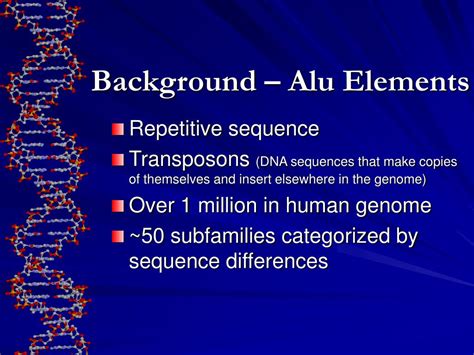 Ppt Finding Sequence Motifs In Alu Transposons That Enhance The