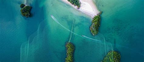 Singleview Client Analytics Solutions Calimere Point