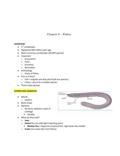 Superclass Agnatha Flashcards Quizlet