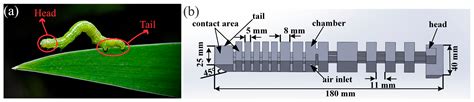 A Bio Inspired Data Driven Locomotion Optimization Framework For Adaptive Soft Inchworm Robots