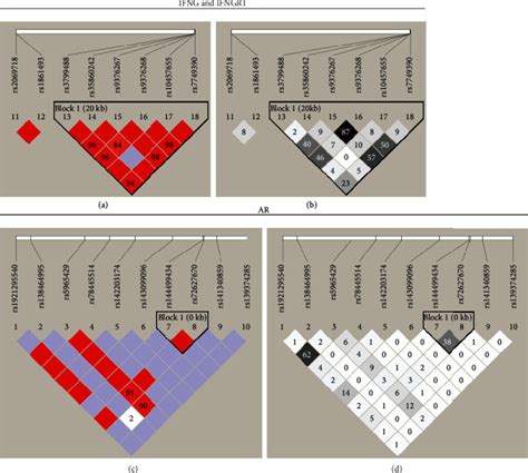 Genetic Polymorphisms Of Ifng Ifngr1 And Androgen Receptor And Chronic Prostatitis Chronic