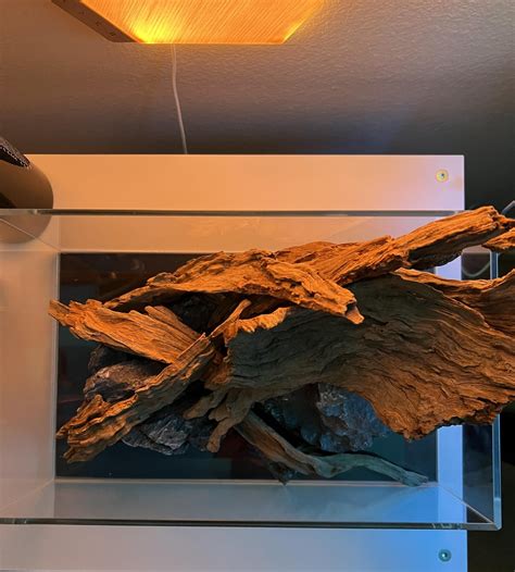 Plant And Substrate Suggestions For My Uns 2 5g Shallow R Aquascape