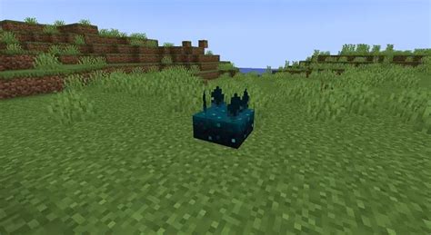 Everything You Need To Know About Sculk In Minecraft 1 19