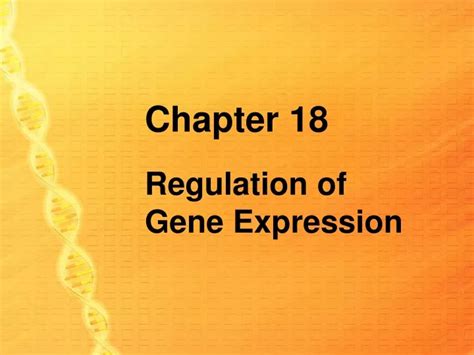 Ppt Chapter 18 Powerpoint Presentation Free Download Id9601813