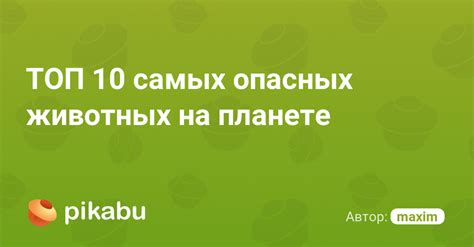 ТОП 10 самых опасных животных на планете Пикабу