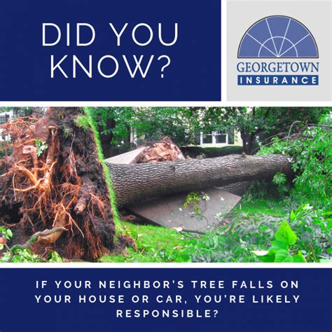 Did You Know Neighbors Tree Falls On Your House Or Car Whos