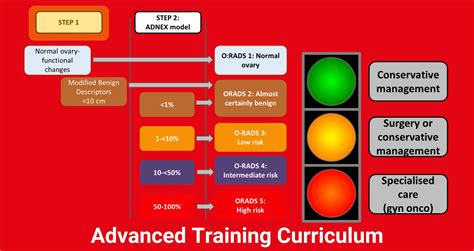 Advanced Training Curriculum Ovarian Cancer Part 1 Ultrasound Iota
