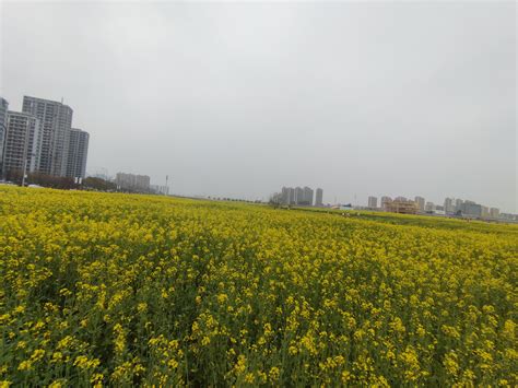 这个田园不错哦 乐清生活 乐清上班族网 Powered By Discuz