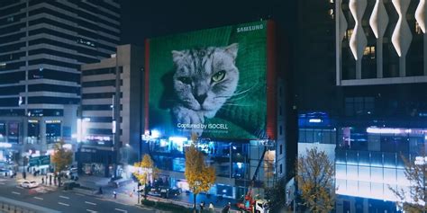 This Photo Was Taken By Samsung's 200MP Sensor And It's Massive