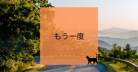 2024年に叶えたい！家族での車中泊の旅 育児猫の育児日記