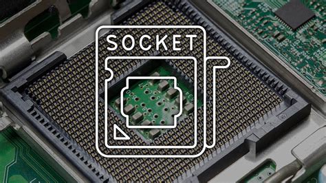 All About Cpu Sockets Essentials You May Be Missing Out On