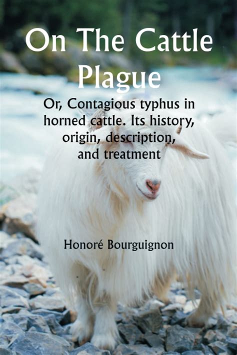 On The Cattle Plague Or Contagious Typhus In Horned Cattle Its