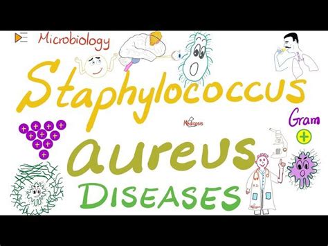 Free Video Staphylococcus Aureus Diseases Skin Toxic Shock Syndrome Food Poisoning