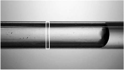 Capillary Tube With External Diameter Selected Using The Python Download Scientific Diagram