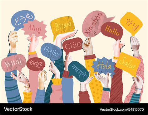 International Languages Collage Language School Vector Image
