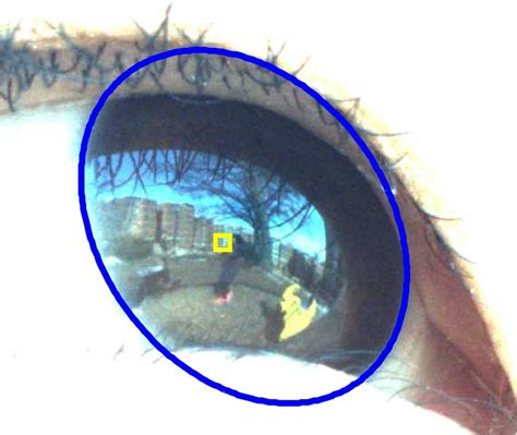 Additional Experiments Each Row Shows Gaze Patterns Of A User In A Download Scientific Diagram