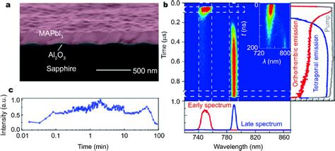 A Cross Sectional Scanning Electron Micrograph Sem Of The