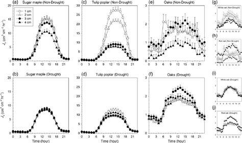 Mean Hourly Sap Flux Density J S Of Sugar Maple Tulip Poplar And