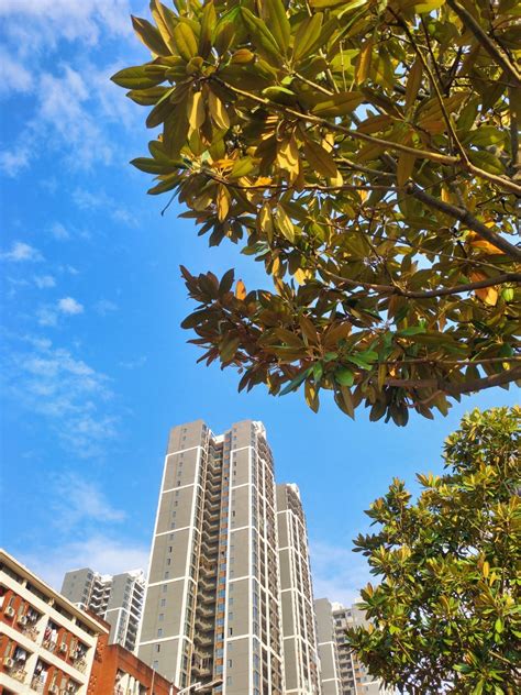 每天早上跑步的好处 谁跑谁知道 健身吧