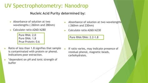 281dna Quantification And Its Importance Ppt