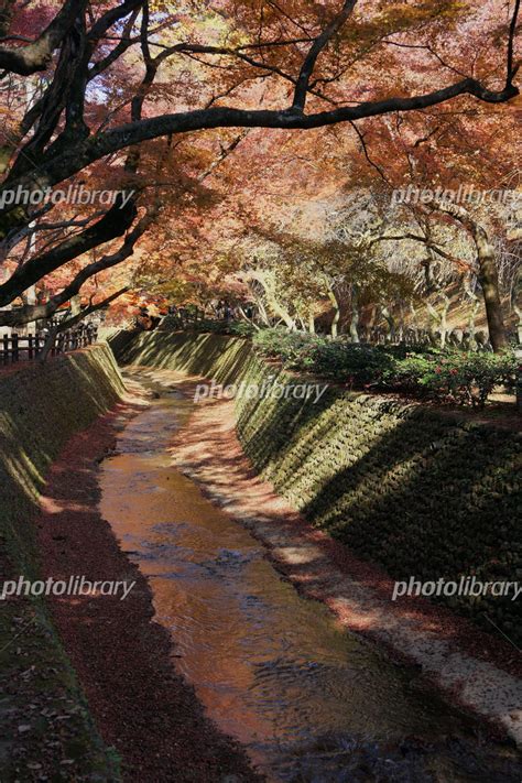 Photolibrary