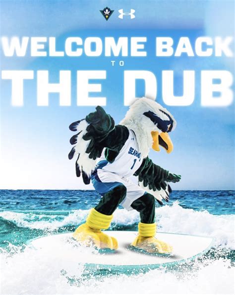 A Uncw Fall Sports Preview For The Upcoming Season The Seahawk