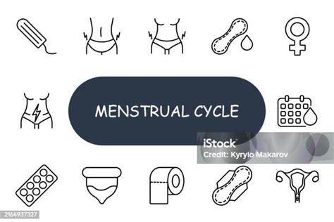생리 주기 설정 아이콘입니다 탐폰 통증 패드 여성 달력 경련 피임 컵 화장지 자궁 월경 건강 기간 위생 배란 다산 여자 주기