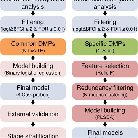 Density Plot Outlining The Genomic Distribution Of Differentially Download Scientific Diagram