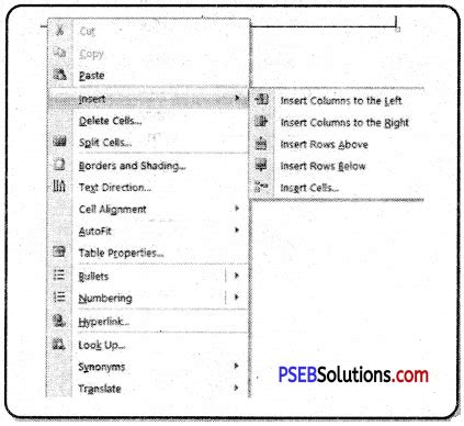 Pseb Th Class Computer Notes Chapter Microsoft Word Part Iv Pseb