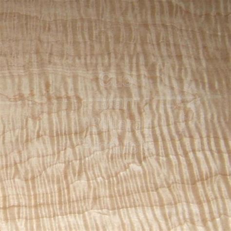Curly Tiger Maple Maple Wood Sawed Timber Has Tiger Stripe Or Curly