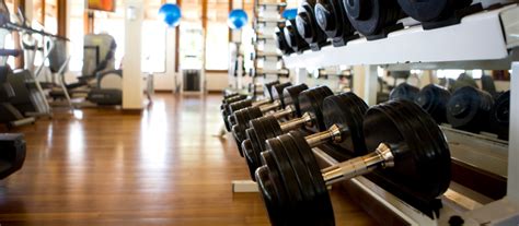 8 Essential Chiropractic Tools Enhancing Patient Care