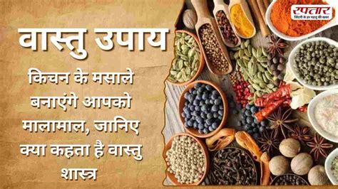 Vastu Tips किचन के मसाले बनाएंगे आपको मालामाल जानिए क्या कहता है