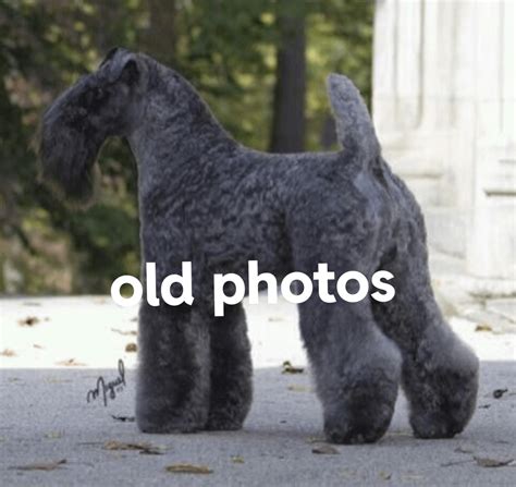 Lucy Herzig ~ Subliminal Veritas Rsubliminal