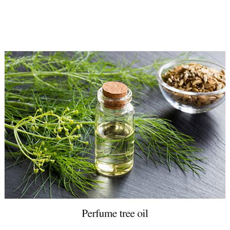 Perfume Tree Oil Baisifu