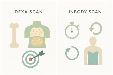 InBody Vs DEXA Scans Which Is Better BodySpec