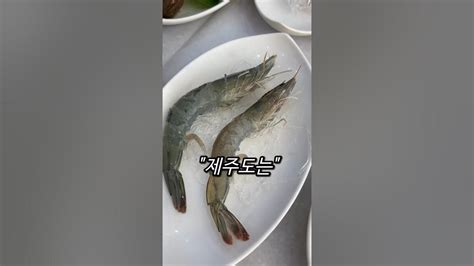 살아있는 새우 먹방 Youtube