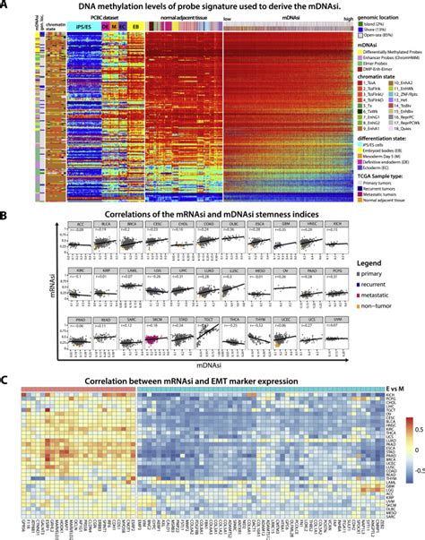近期可以模仿的数据分析pipeline汇总 生信人
