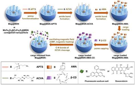 Synthesis And Operation Of The Thermal Sensitive Supramolecular Download Scientific Diagram